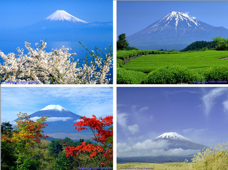 Four Seasons of Japan | I LOVE JAPAN